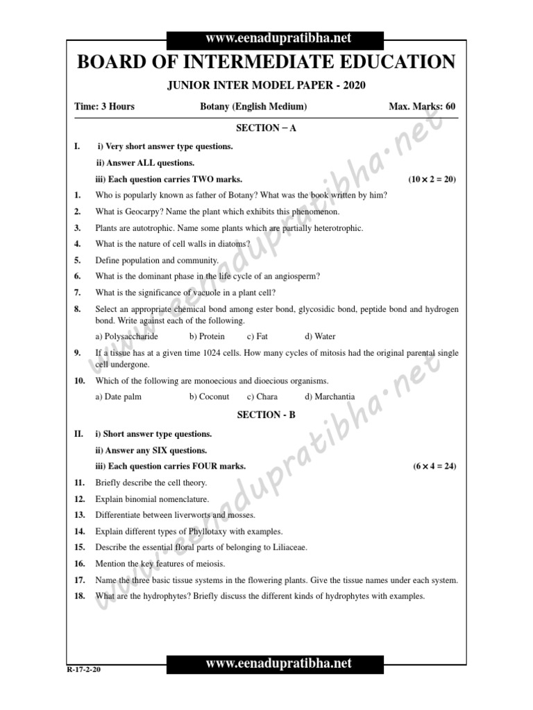 Board of Intermediate Education: Junior Inter Model Paper - 2020 | PDF ...