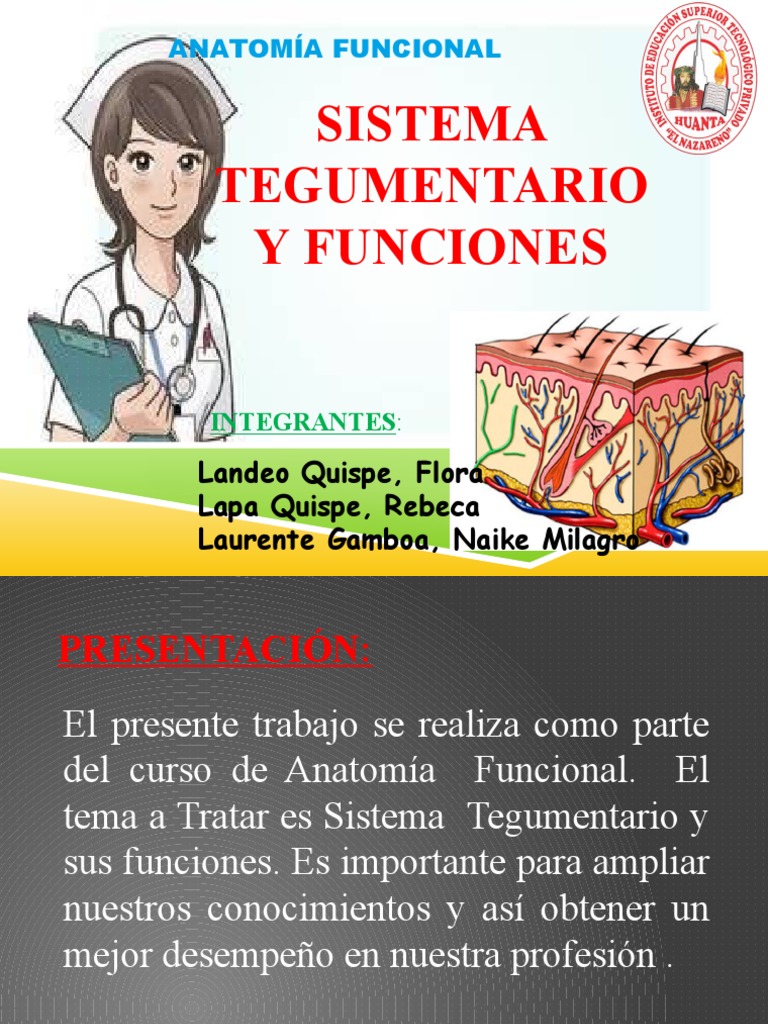 Sistema Tegumentario: Funciones y Estructura | PDF | Piel | Sistema tegumentario