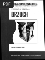 Anatomia Swini Atlas Interaktywny | PDF