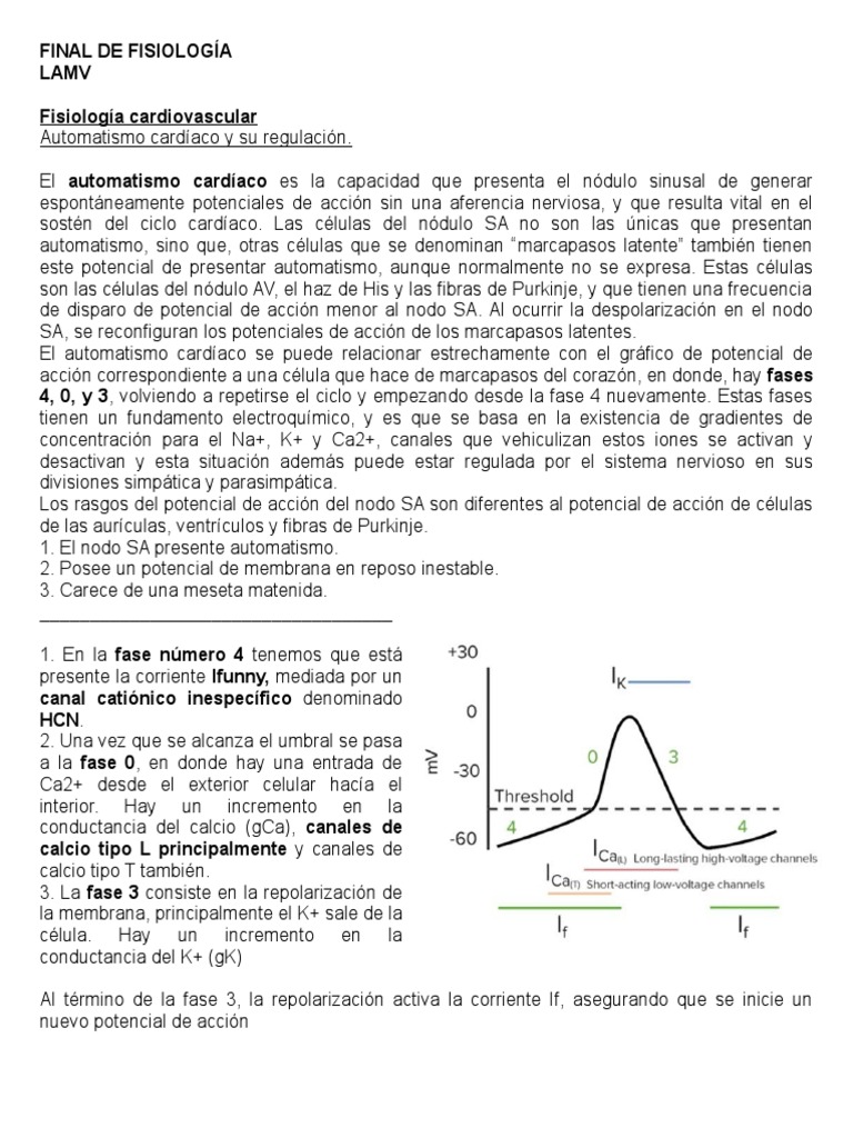 Automatismo Cardíaco y Su Regulación | PDF | Potencial de acción | Corazón