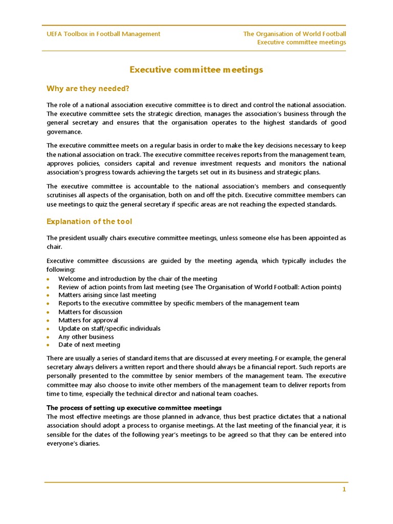 Executive Committee Meeting Guidelines | PDF | Secretary | Business