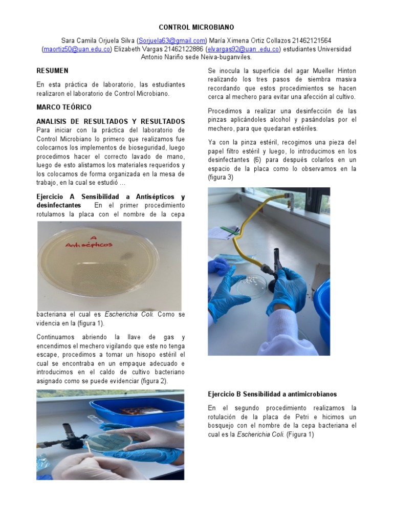 Práctica de Control Microbiano en E. Coli | PDF | Ciencias de la vida ...