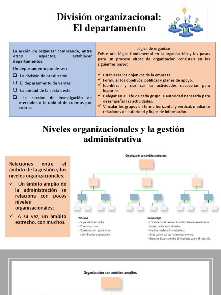División Organizacional | PDF | Planificación | Business
