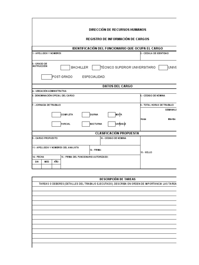 Formato RIC Excel | PDF | Informática