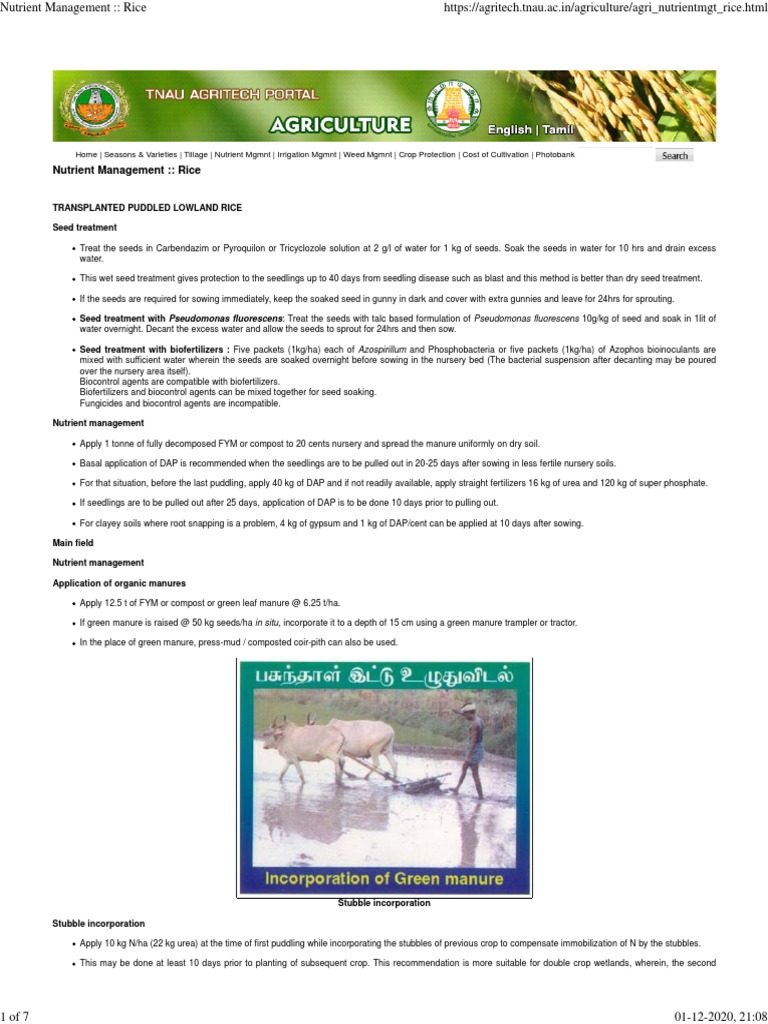 Nutrient Management - Rice | PDF | Fertilizer | Manure