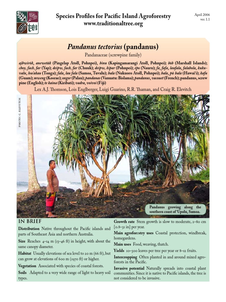 Pandanus Tectorius (Pandanus) : Species Profiles For Pacific Island ...