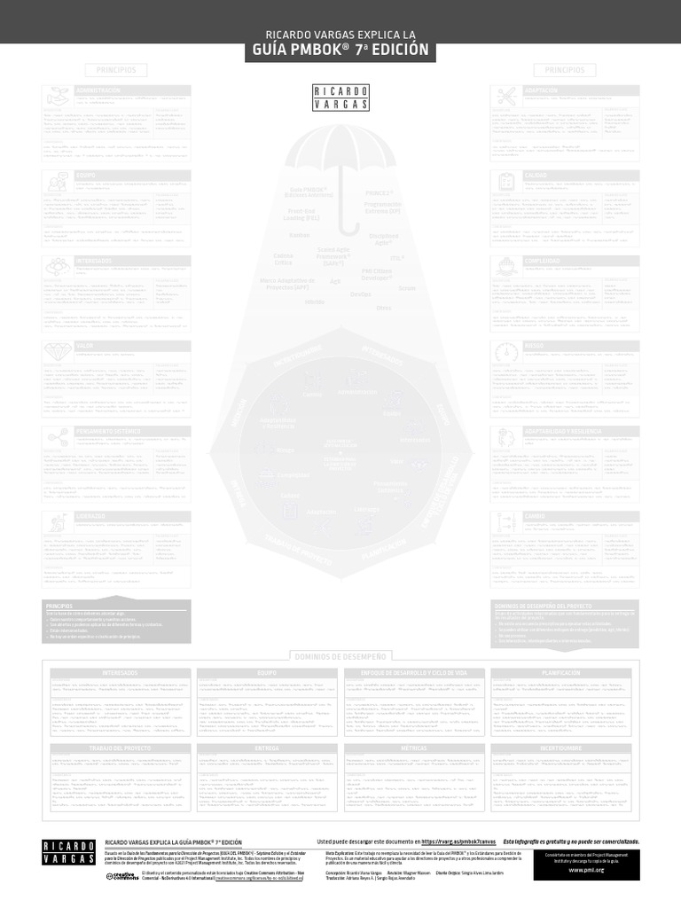 Pmbok7-Infographic-Canvas A1 Es | PDF