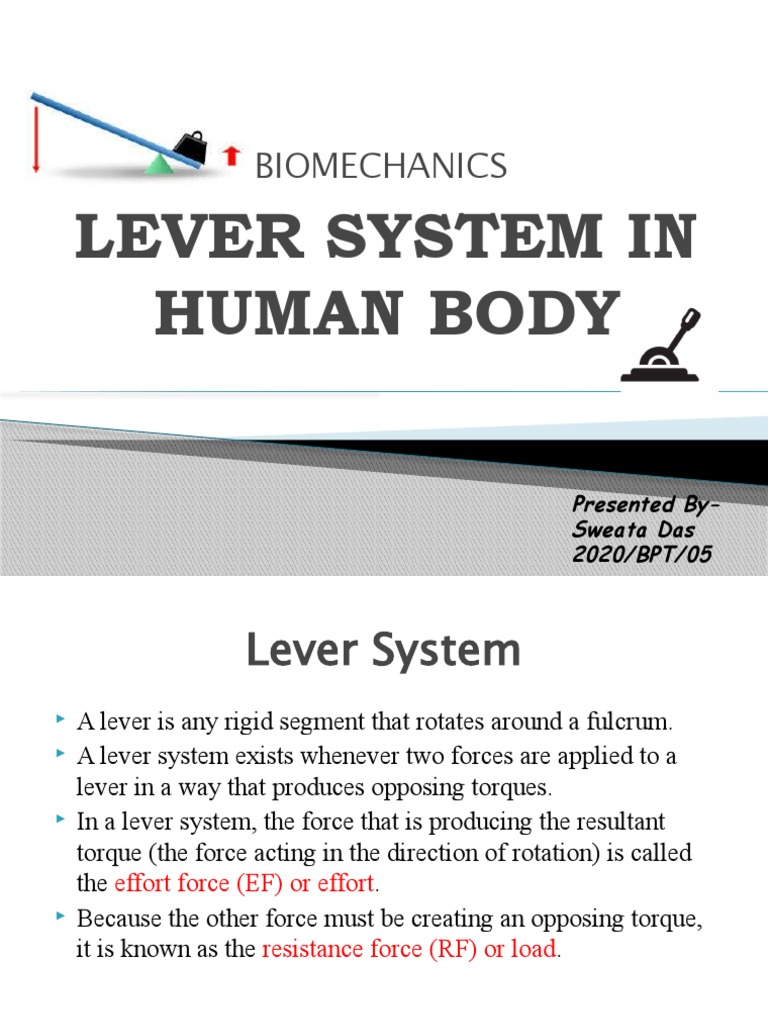 Lever System in Human Body: Biomechanics | PDF