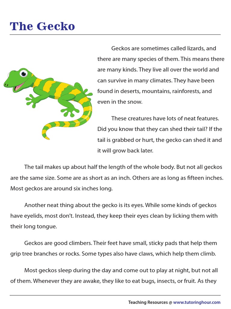 The Gecko: Teaching Resources @ | PDF | Lizard | Insects