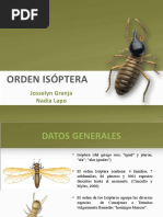 Qué Es Un Jején | PDF | Organismos | Naturaleza