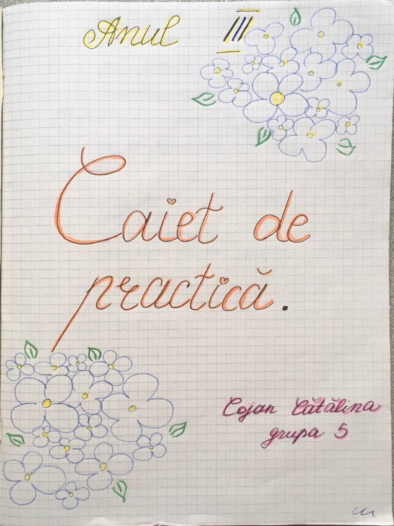 Caiet de Practica Farmacie | PDF