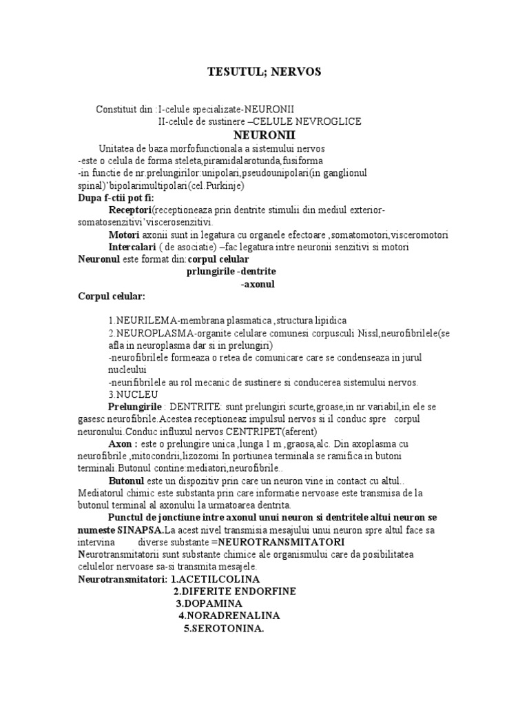 Tesutul Nervos | PDF