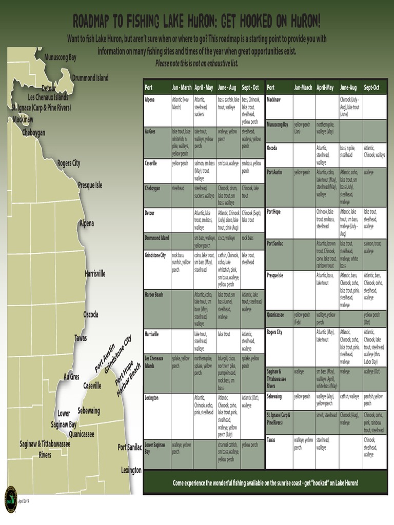 Roadmap To Fish Lake Huron-2019 | PDF | Rainbow Trout | Lake Huron