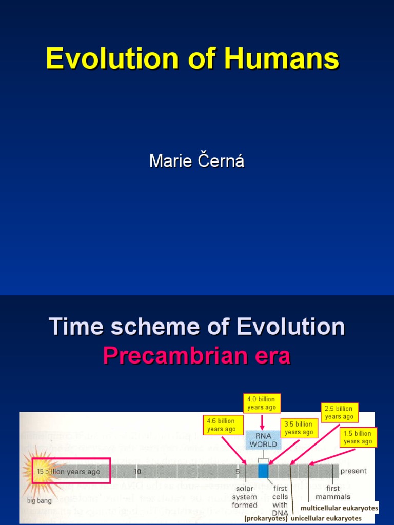 38 Evolution of Humans | PDF | Homo | Human Evolution