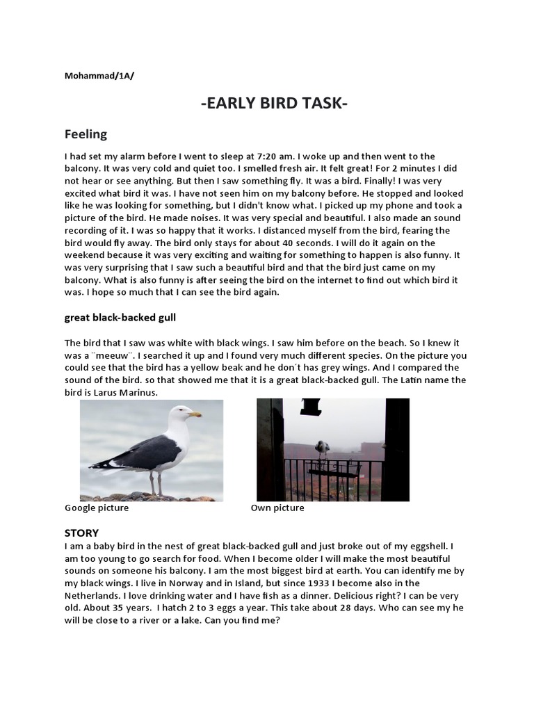 Early Bird Task-: Feeling | PDF
