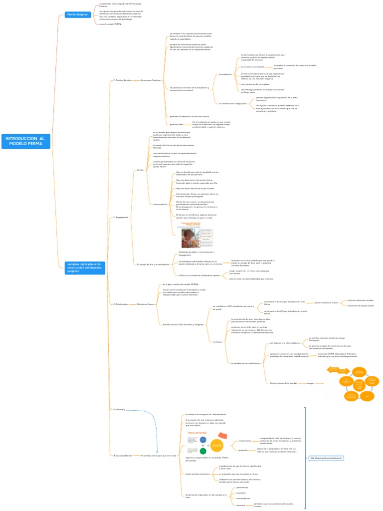 Introduccion Al Modelo Perma | PDF | Las emociones | Felicidad