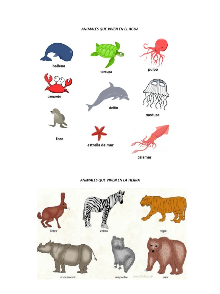 Animales Que Viven en El Agua | PDF