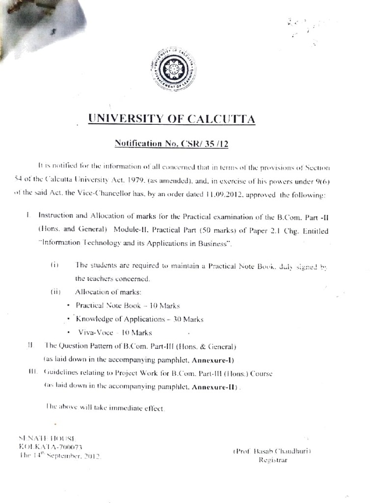 CU Project Guidelines for B.Com Students | PDF | Consumer Behaviour ...