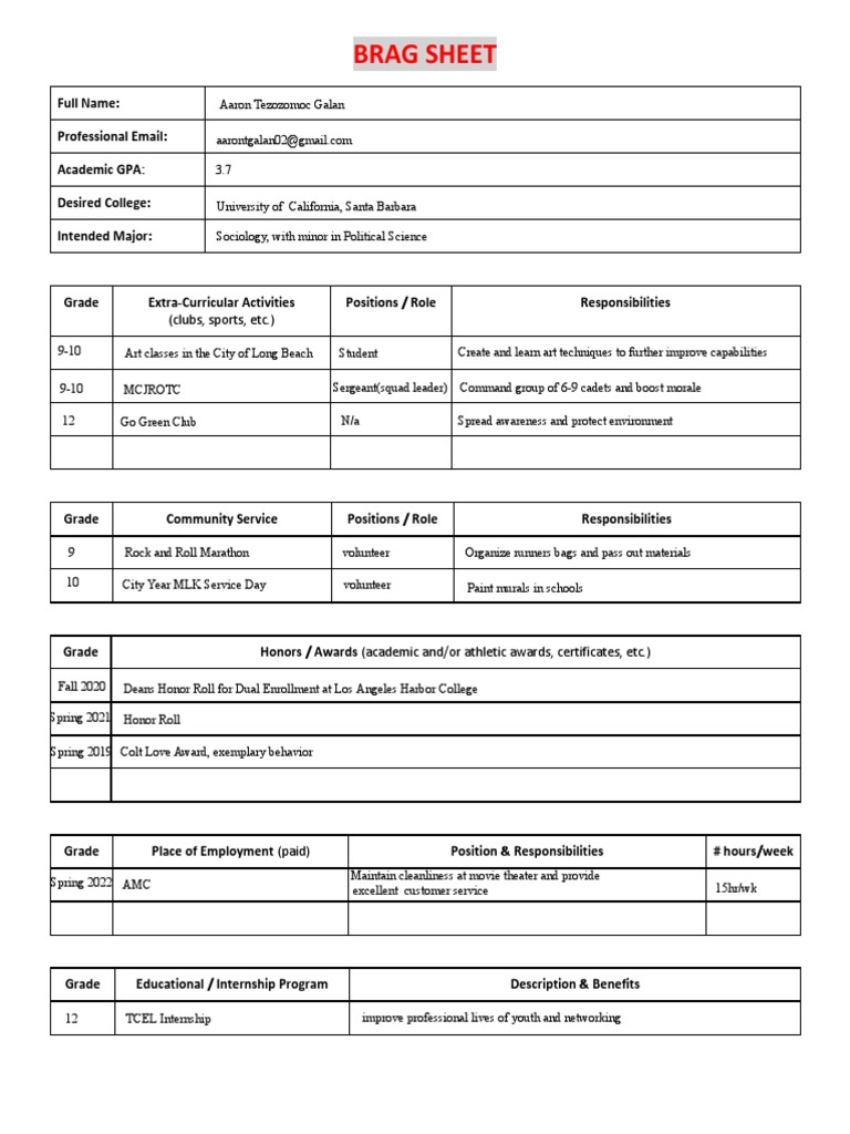 Kami Export - Aaron Galan Brag Sheet | PDF | Experience | Psychological ...