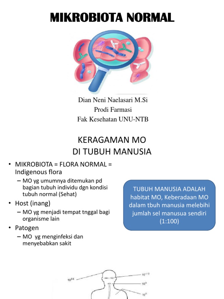 Pertemuan 6 FLORA NORMAL | PDF | Sains & Matematika