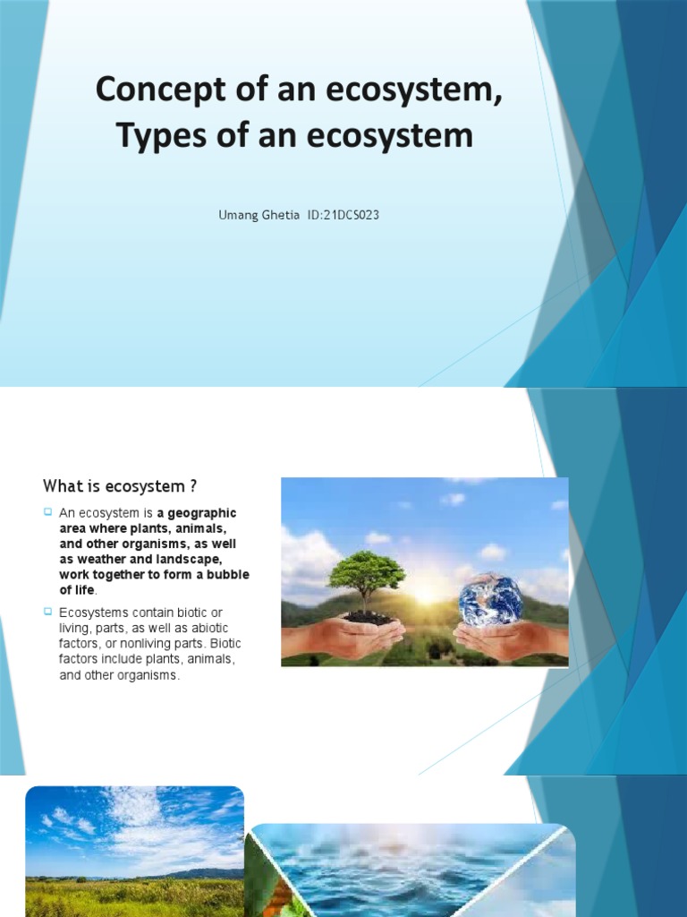 Types and Characteristics of Ecosystems | PDF | Ecosystem | Natural ...