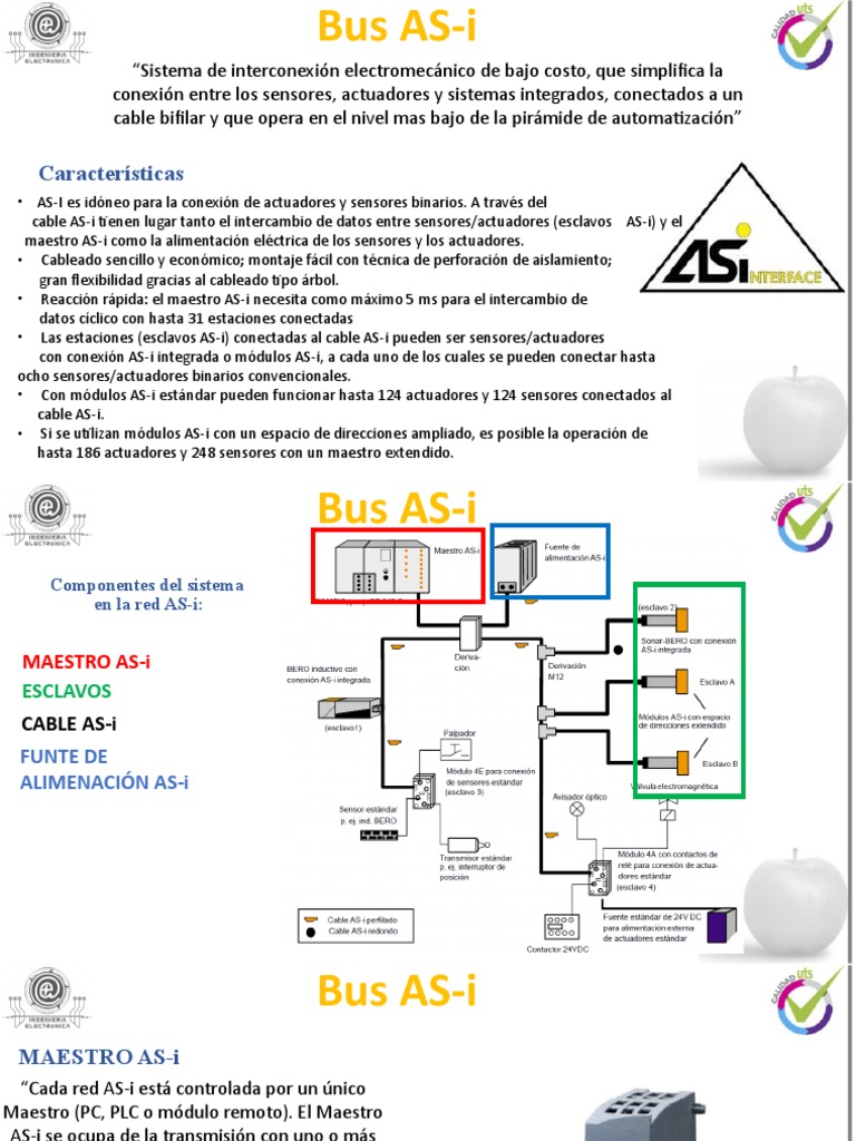 Modulo 2 Bus Asi | PDF | Red de computadoras | Enrutador (Computación)