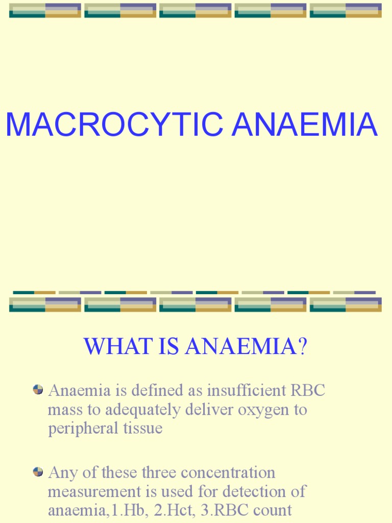 Macrocytic Anemia | PDF | Anemia | Vitamin B12
