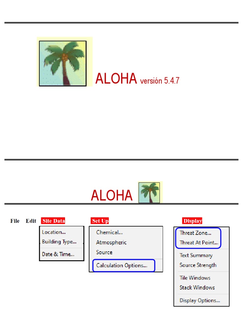 Introduccion Al Programa Aloha | PDF | Nube | Herida