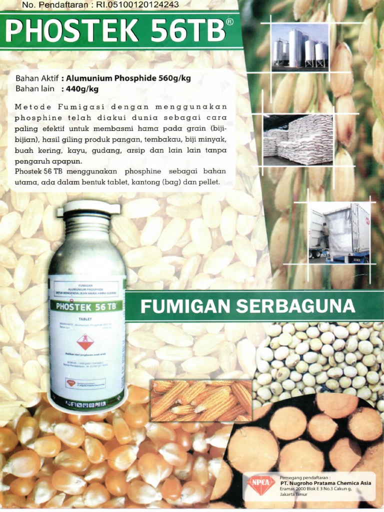 1 Phostek 56 TB | PDF