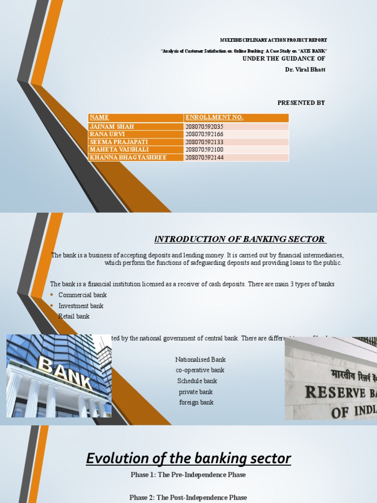 Multidisciplinary Action Project Report | PDF | Banks | Business