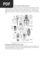Gundhi Bug Zoo | PDF | Rice | Insects