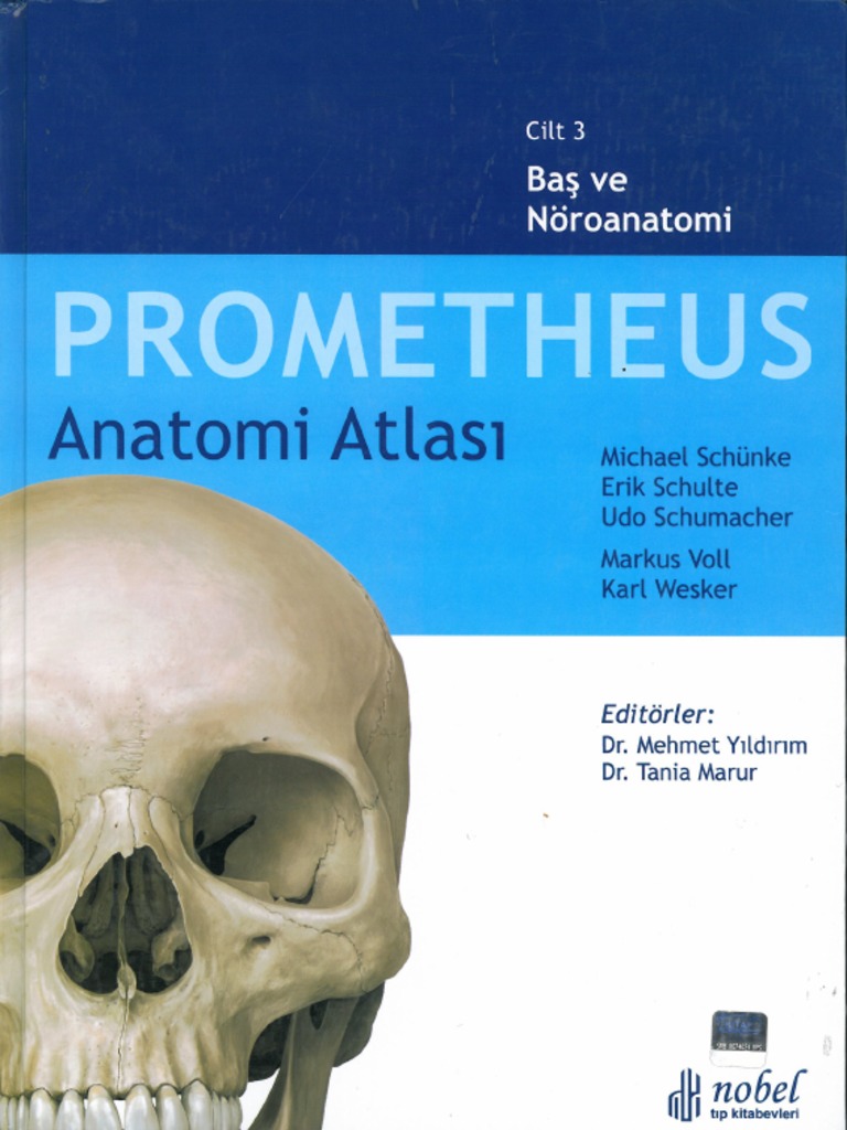 Prometheus Anatomi Atlası - Cilt 3 | PDF