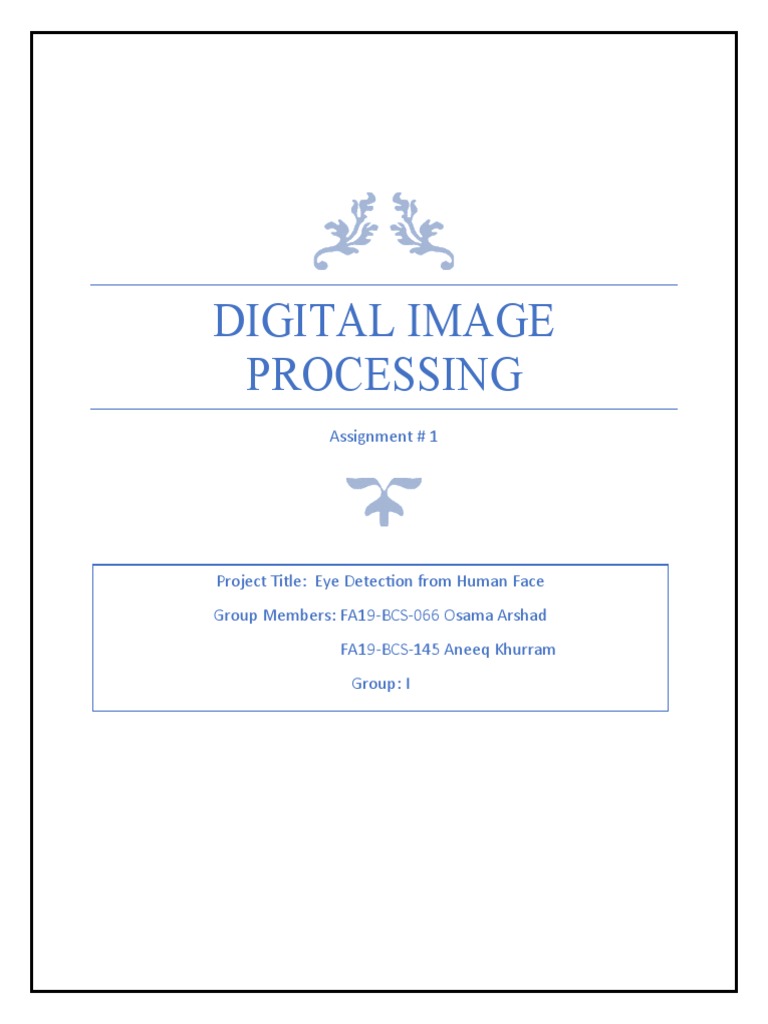 Digital Image Processing Assignment 1 | PDF | Image Segmentation | Vision