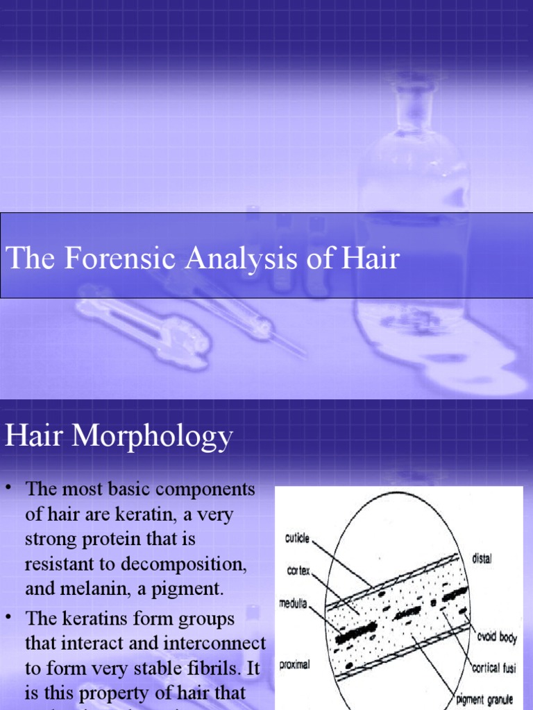 Forensic Hair Analysis Techniques | PDF | Hair | Cerebral Cortex