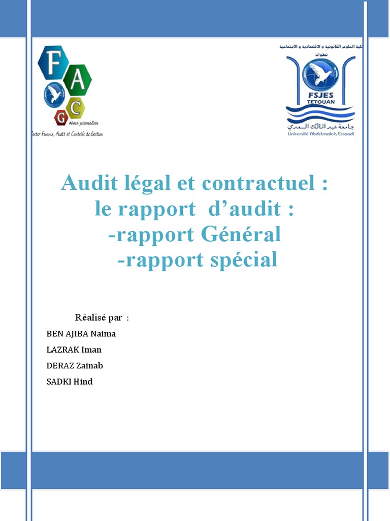Le Rapport D'audit | PDF | Audit | Actionnaire