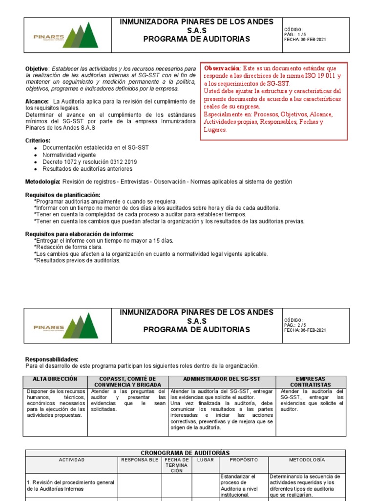 Modelo - Programa de Auditorías Internas | PDF | Auditoría | Business