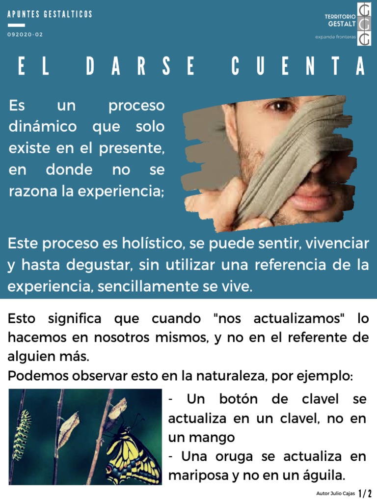 El Darse Cuenta | PDF | Terapia Gestalt | Sicología