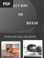 Principio Alara | PDF | Planificación | Protección de radiación