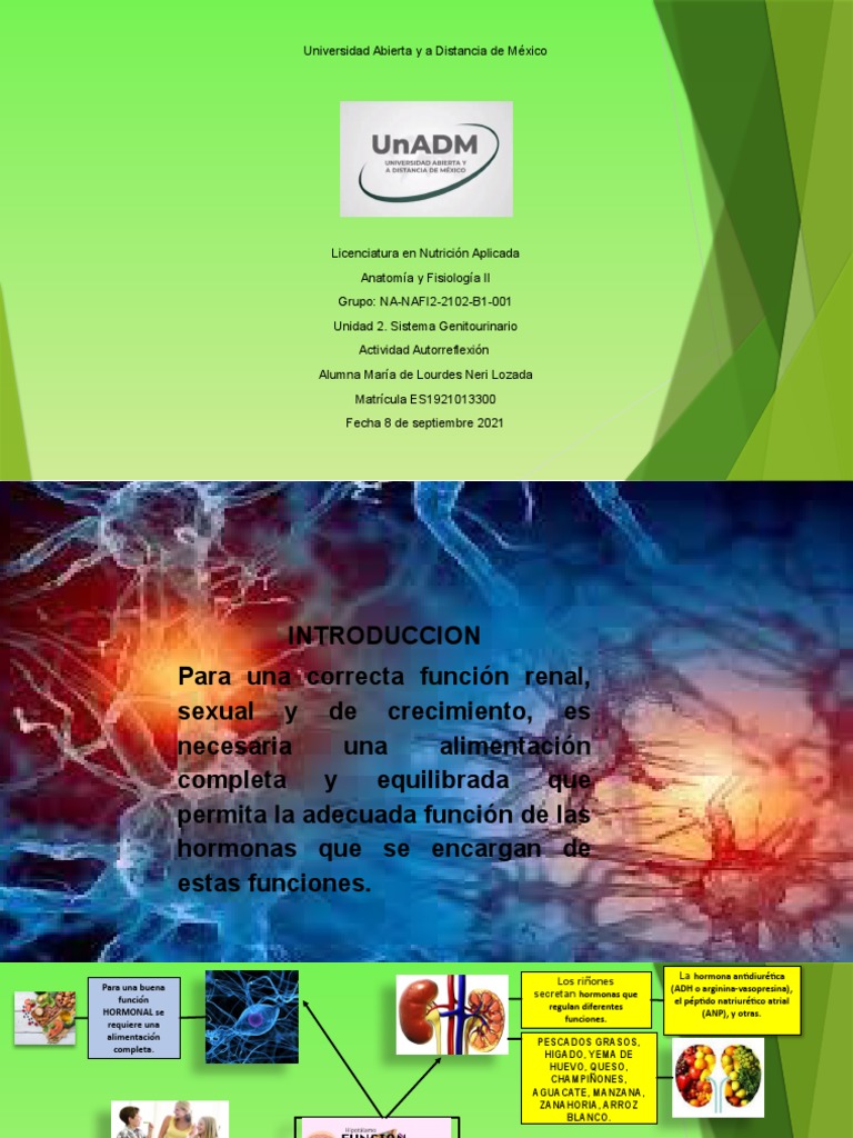 Afi2 U2 Atr Manl | PDF | Sistema endocrino | Glándulas