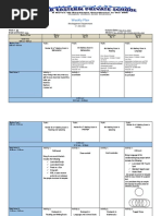 CISM Study Plan | PDF | Psychology | Cognitive Science