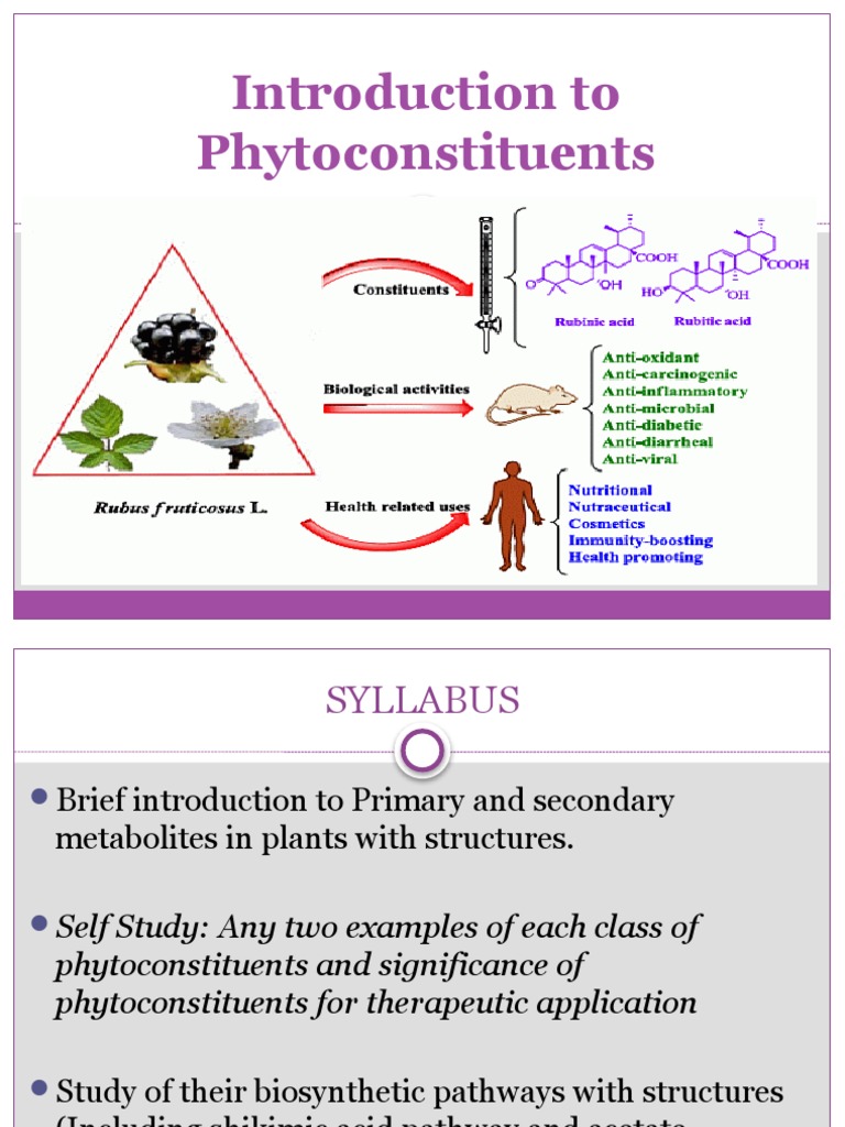 Overview of Phytoconstituents and Alkaloids | PDF | Metabolism | Alkaloid