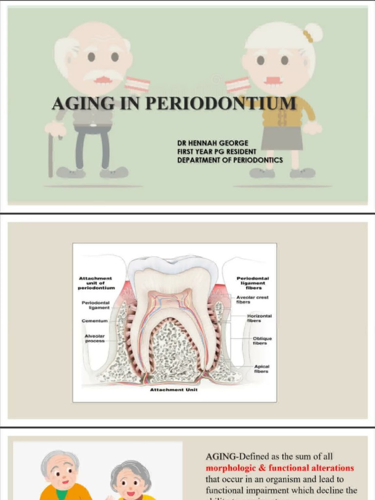 Aging in Periodontium | PDF
