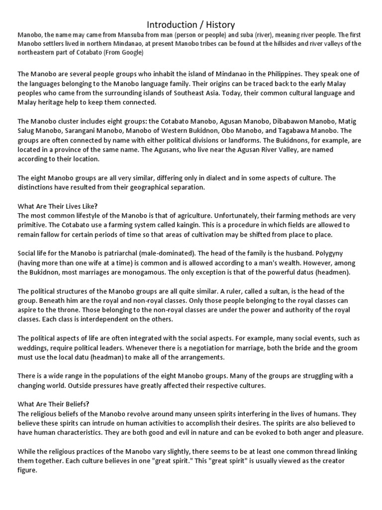 Visual Arts and Crafts of Manobo | PDF | Blouse | Embroidery