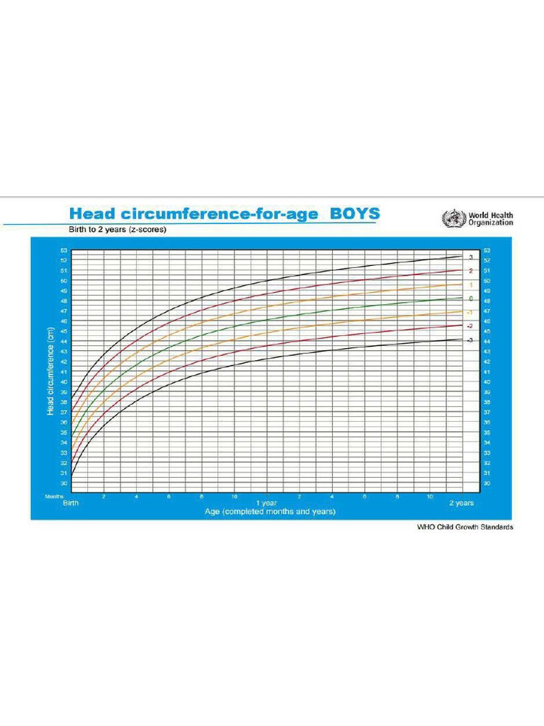 Grafik Lingkar Kepala Bayi Laki Laki | PDF