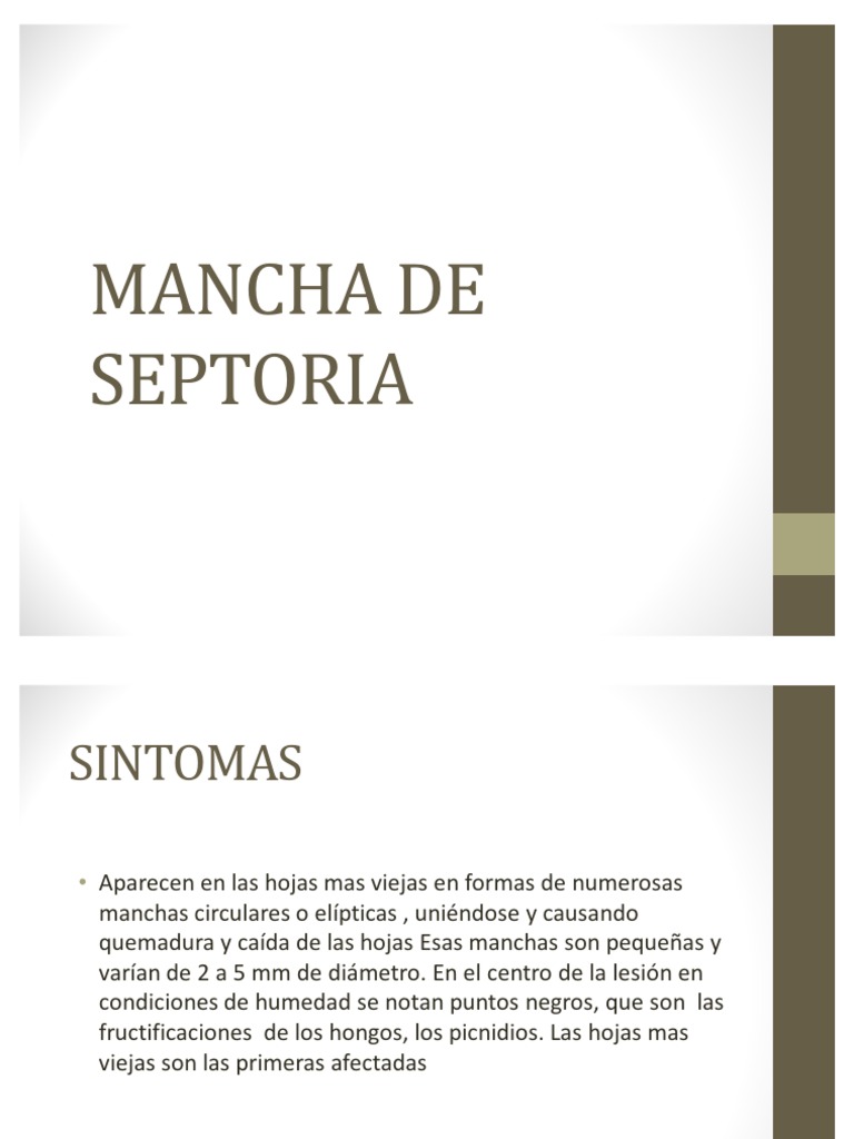 SEPTORIA | PDF