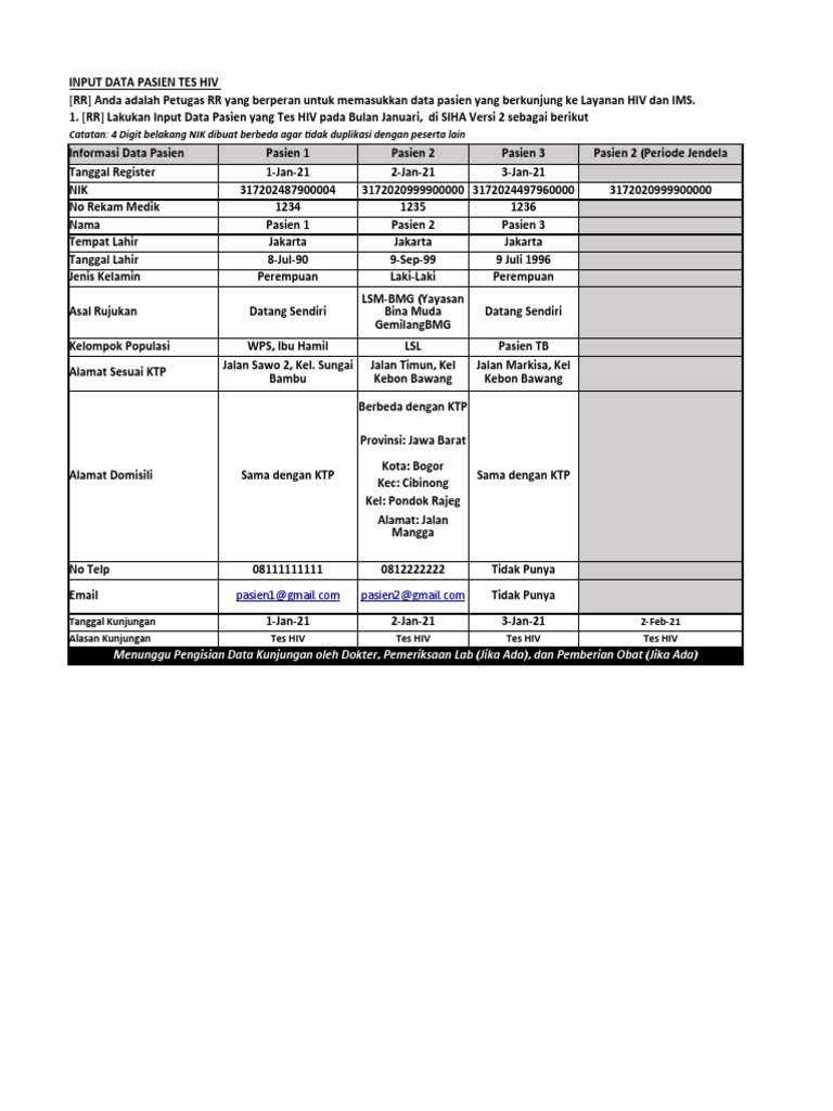 Input Data Pasien HIV & IMS | PDF