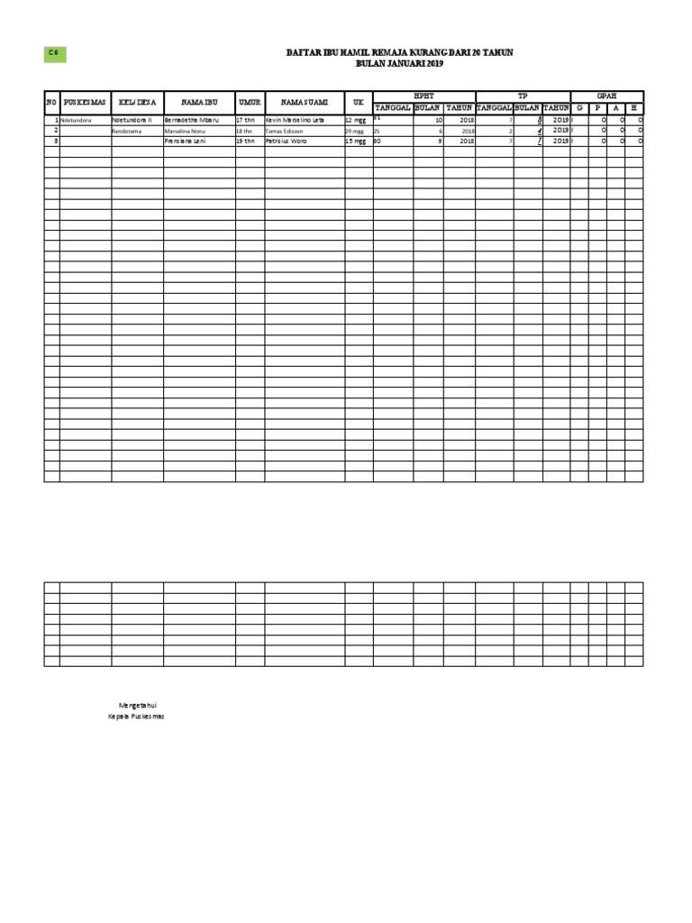 2h2 PKM Baru Arini KEHAMILAN REMAJA | PDF