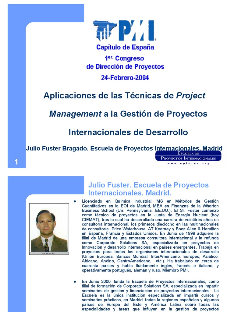 Pmi Ejemplo Pdf Calidad Comercial Lógica