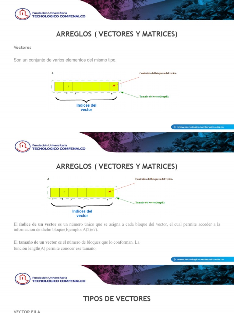 Arreglos (Vectores y Matrices) | PDF