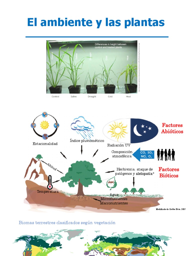 El Ambiente y Las Plantas | PDF | Clima | Nutrientes